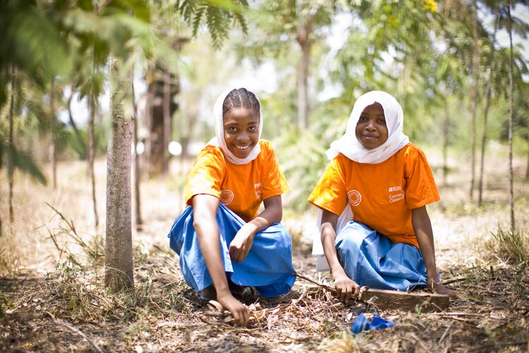 Changing activities | British Council